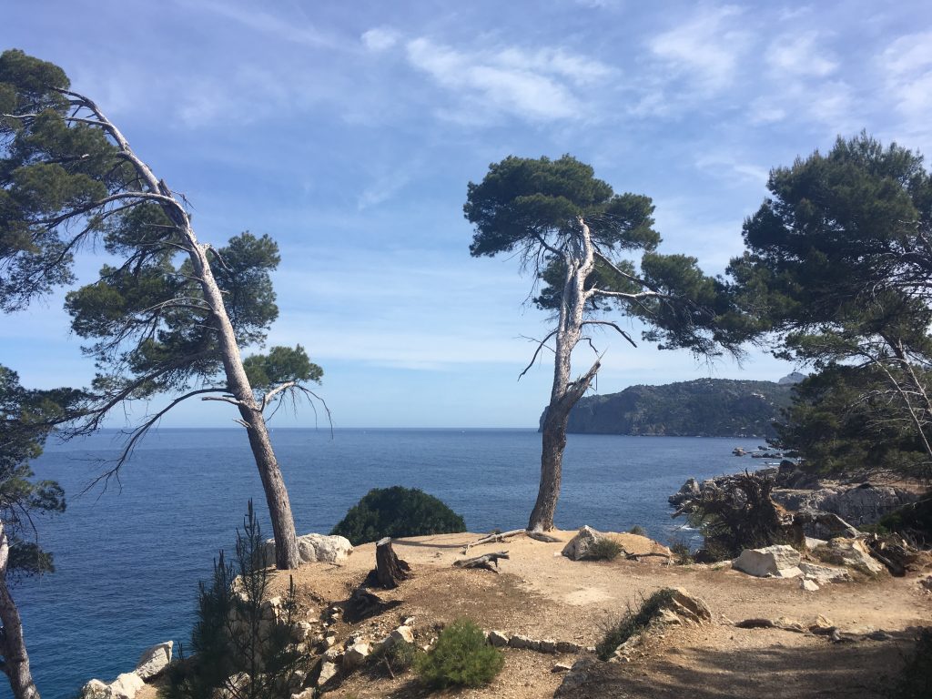 Round to Painters Trail - Mallorca Walks